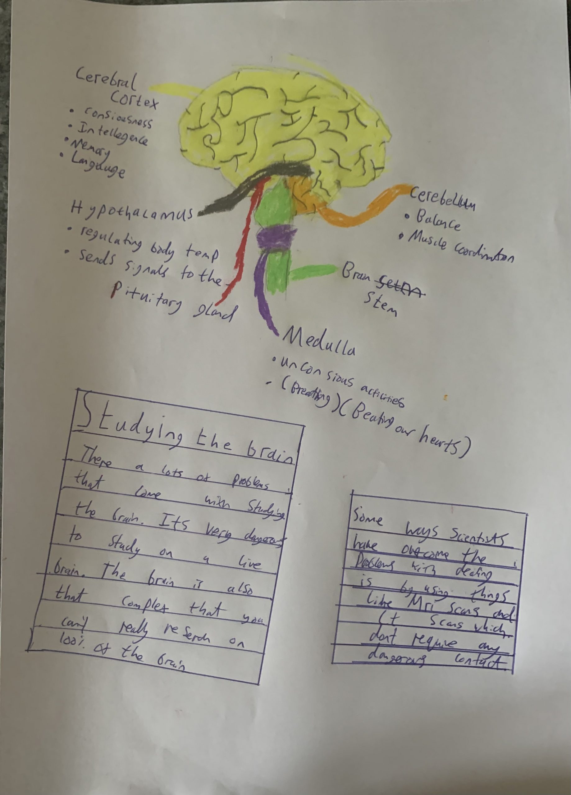 The Praise Wall: Lockdown Edition 18th January - 1st February - Little ...