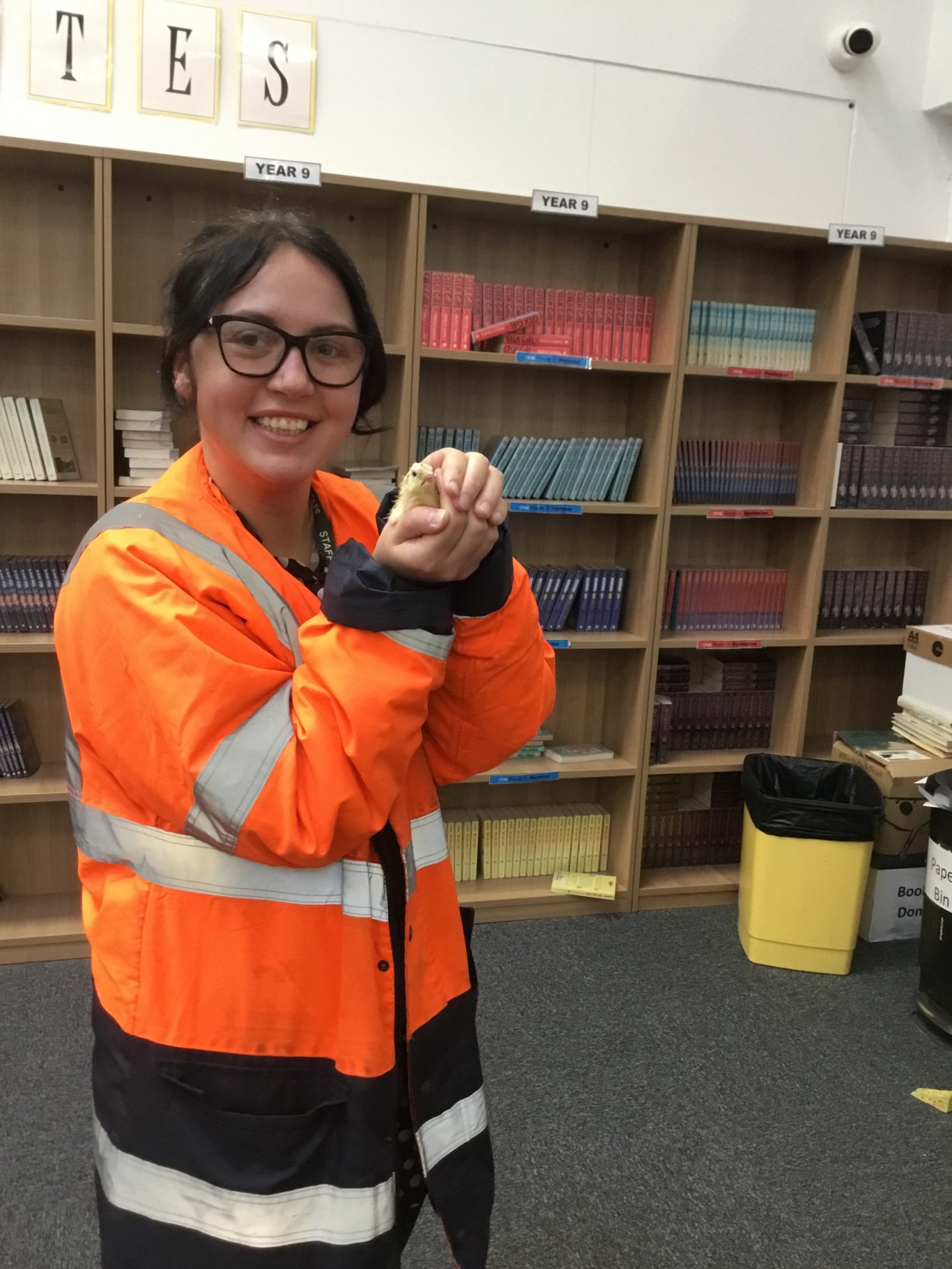 Chick Watch: Oeuf! - Little Lever School