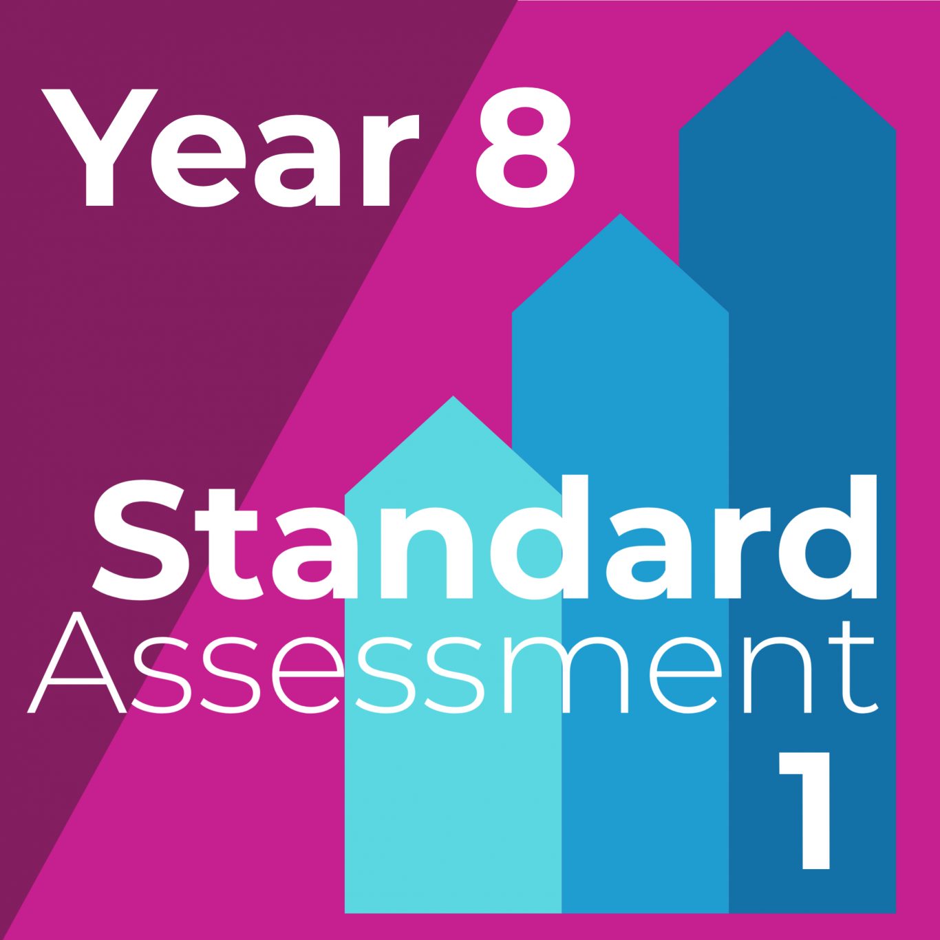 Year 8 Standard Assessment 1 Reports issued - Little Lever School